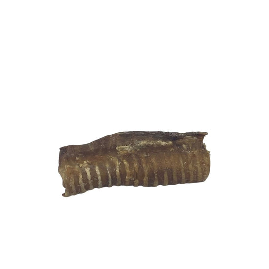 Beef Air Pipe / Trachea 12cm+ - All Natural Dog Chews - Grain & Gluten ...