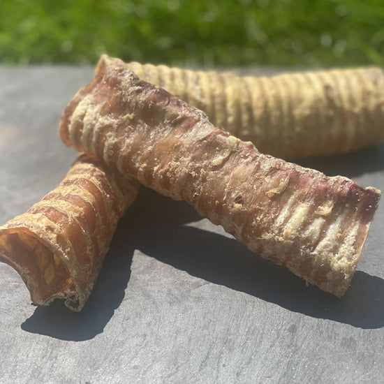 Beef Tracheas - All Natural Dog Chews - Grain & Gluten Free – Chewbox