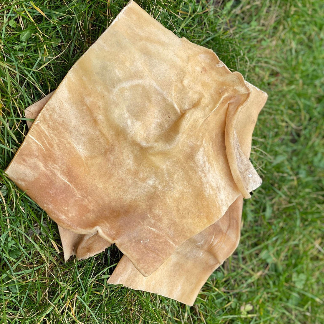 Extra Large Buffalo Head Skin with Fur - All Natural Dog Chews - Grain ...